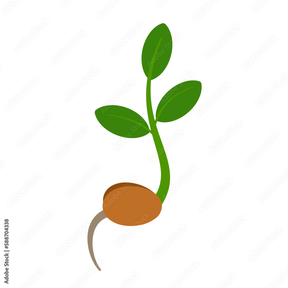 sprouting seed flat vector illustration logo icon clipart Stock Vector ...