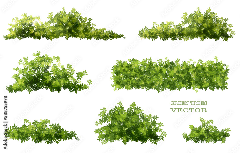 Vector watercolor of tree side view isolated on white background for ...