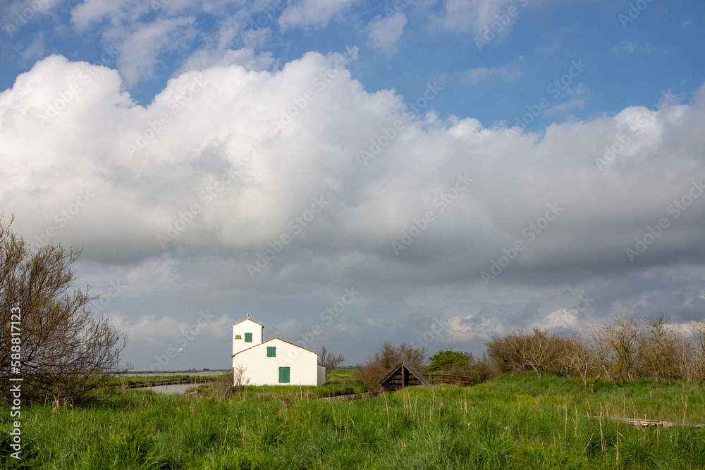 comacchio regional park delta del po lagoon city famous for its ...