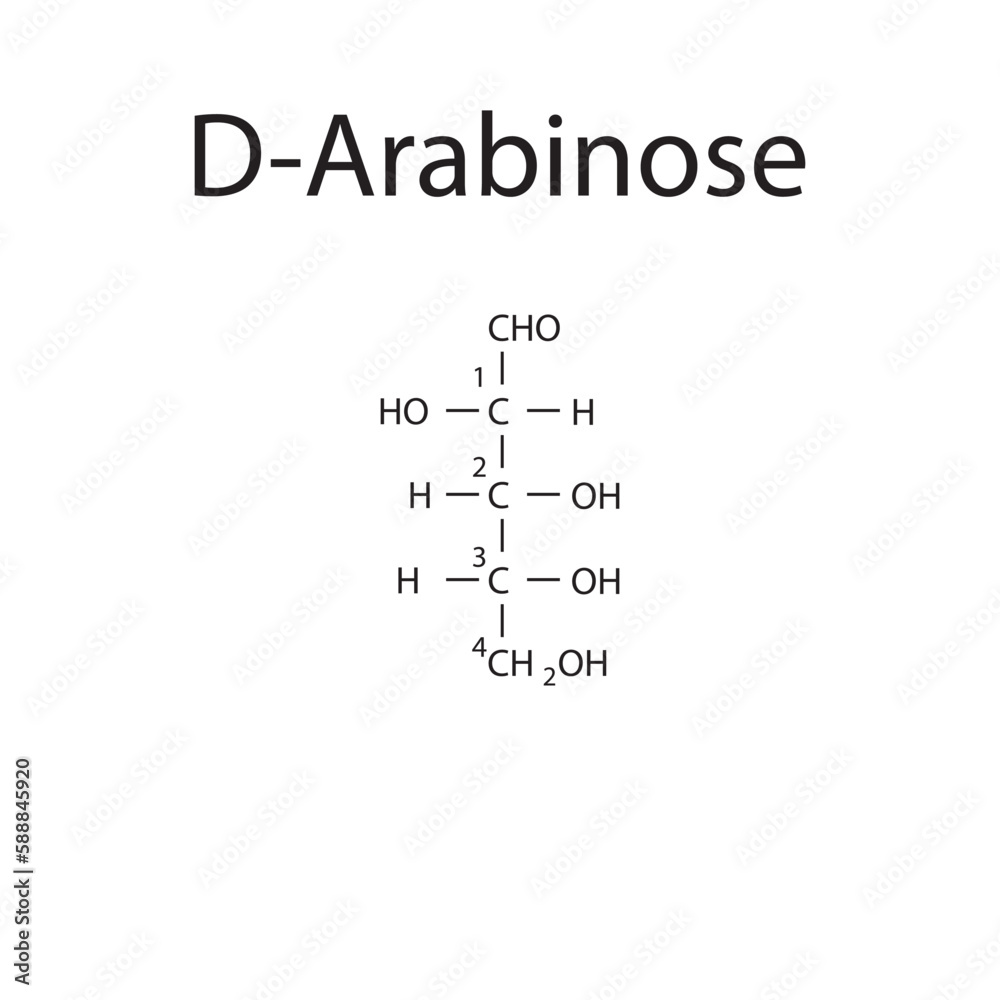 Straight chain form chemical structure of D-Arabinose sugar. Scientific vector illustration on ...
