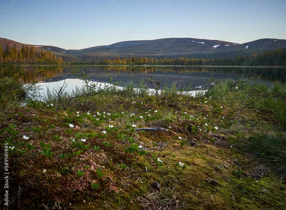 Blue sky over the lake in Pallastunturi National Park, Finnish, Lapland ...