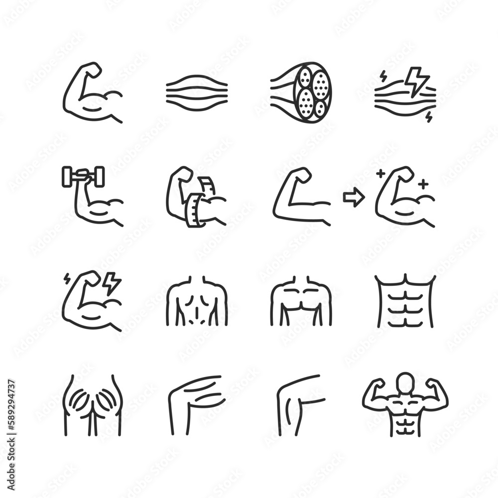 Muscles, linear style icons set. Muscle tissue, structure and muscles ...