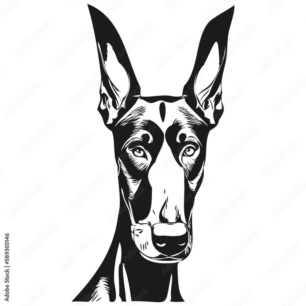 Doberman Pinschers dog line art hand drawing vector logo black and ...