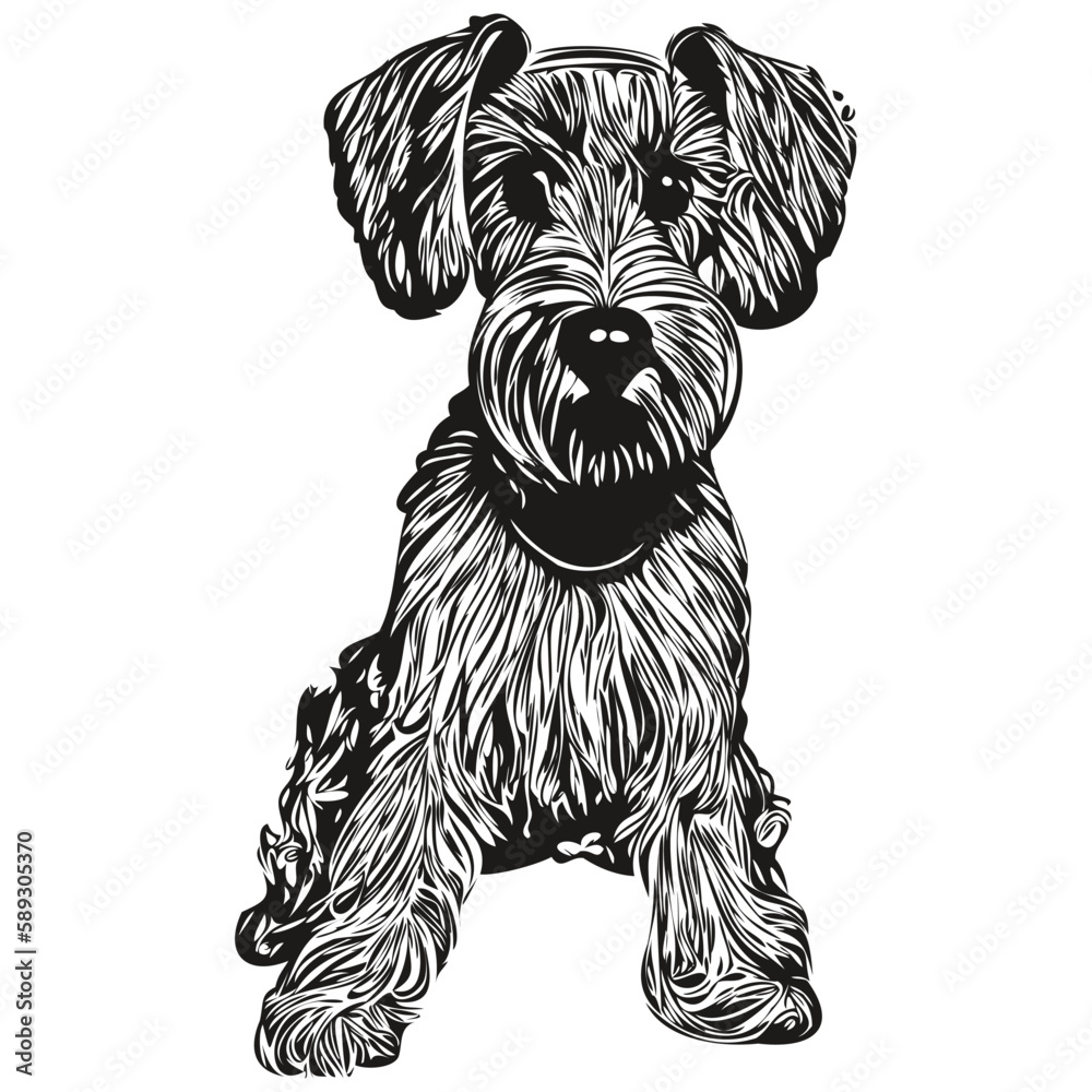 Miniature Schnauzer dog logo hand drawn line art vector drawing black ...