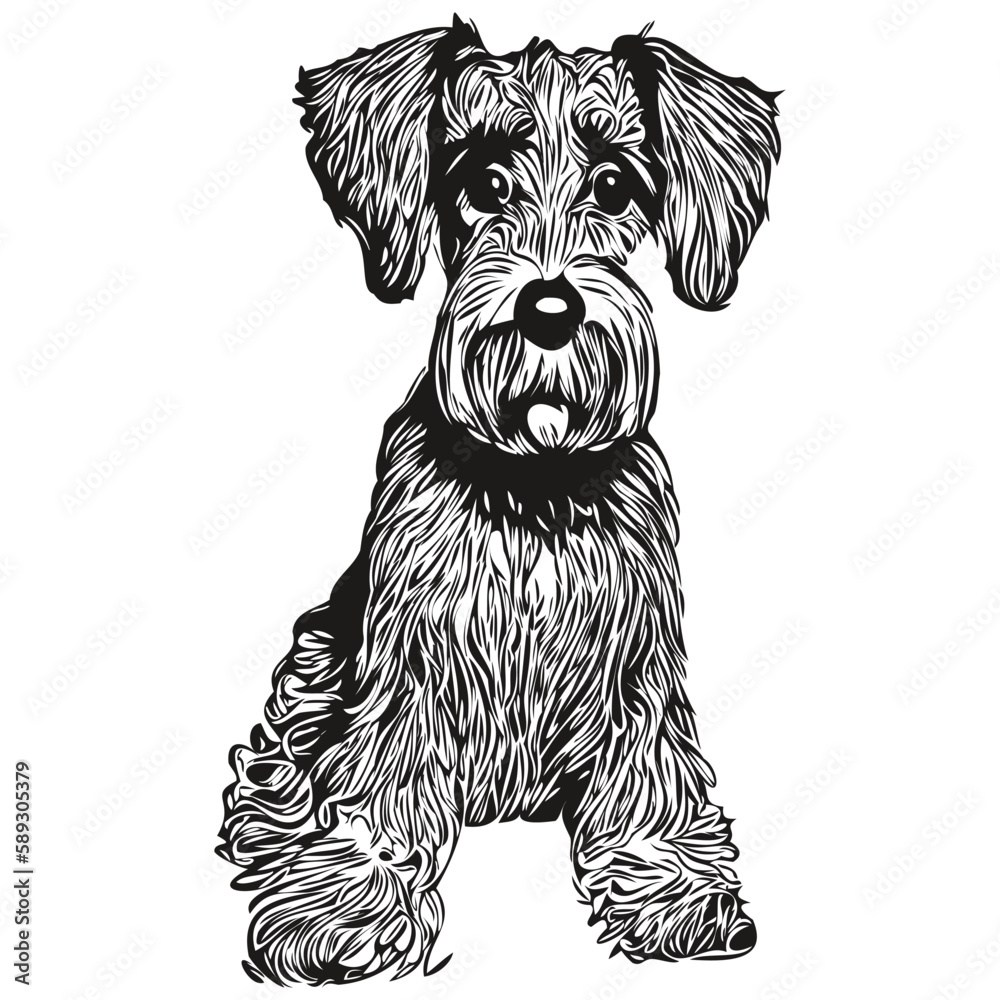 Miniature Schnauzer dog logo hand drawn line art vector drawing black ...