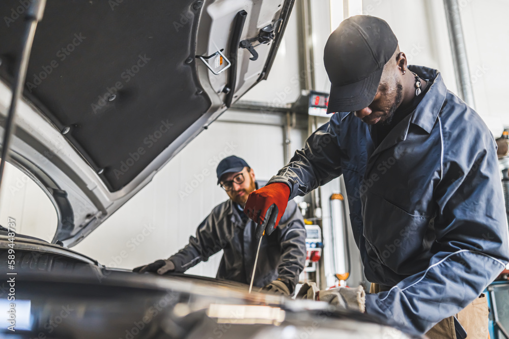 side view of a mechanic working on a car engine and his co-worker ...