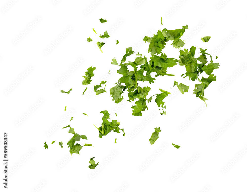 Стокове фото Chopped cilantro leaves as green seasoning flying, falling ...
