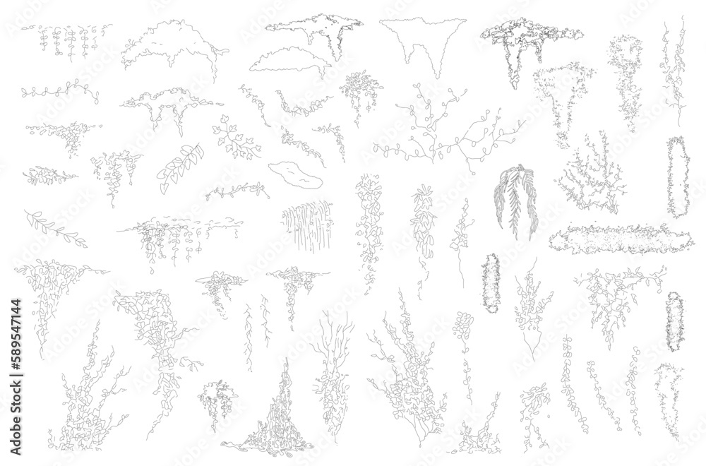 vines tropical plant drawing, Side view, set of graphics trees elements ...
