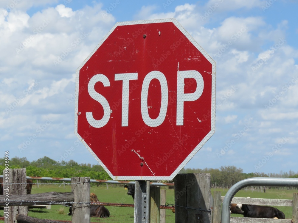 Close up of Red Octagon Stop Sign in Front of Fence with Cow Cattle ...