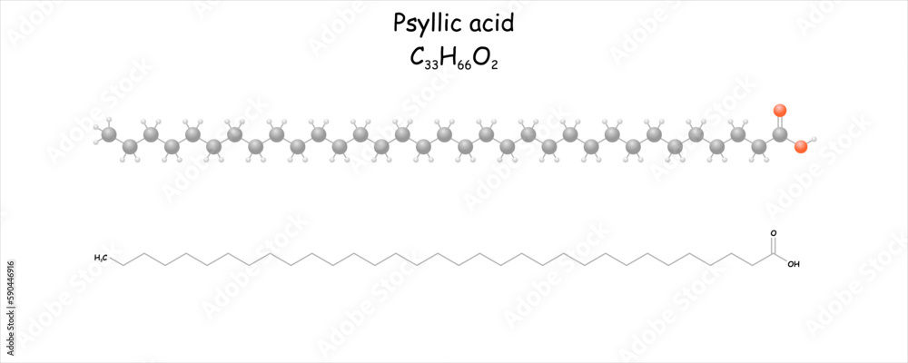 Stylized molecule model/structural formula of psyllic acid. Substance ...