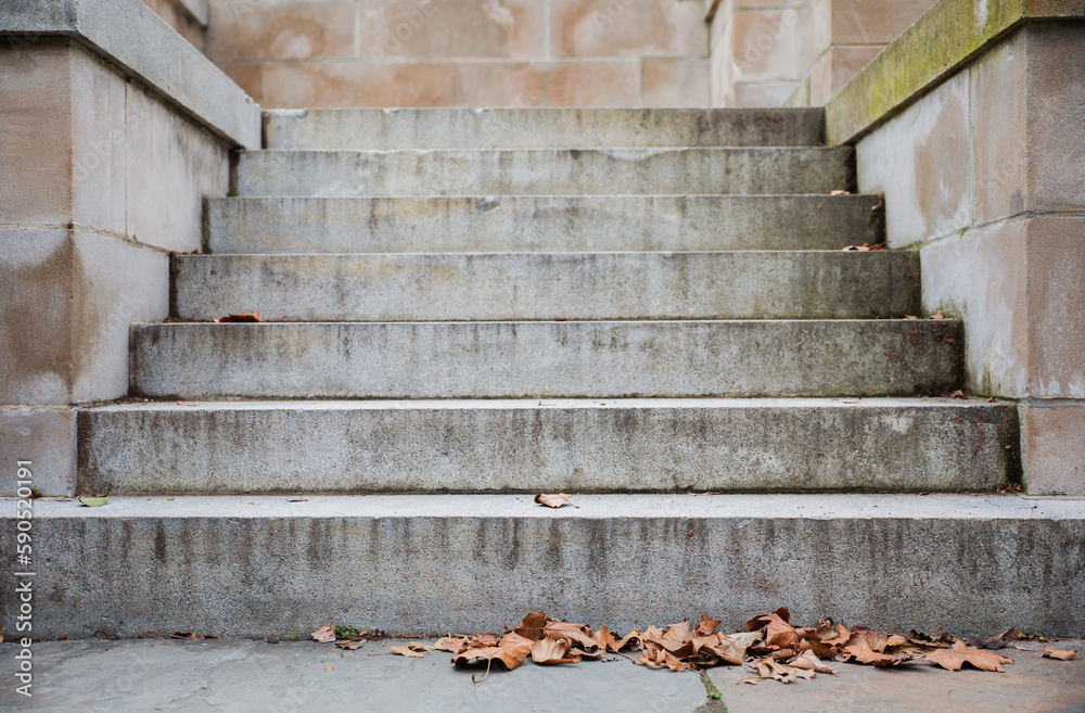 staircase, symbolizing the journey to success. Each step represents ...