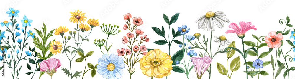 Wildflowers seamless border. Watercolor botanical illustration. Floral ...