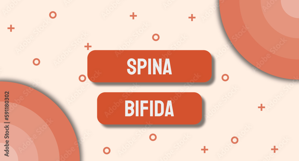 Spina Bifida - A congenital condition in which the spinal column does ...