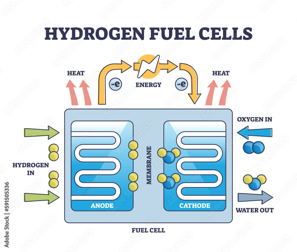 Hydrogen fuel cells work principle with educational structure outline ...