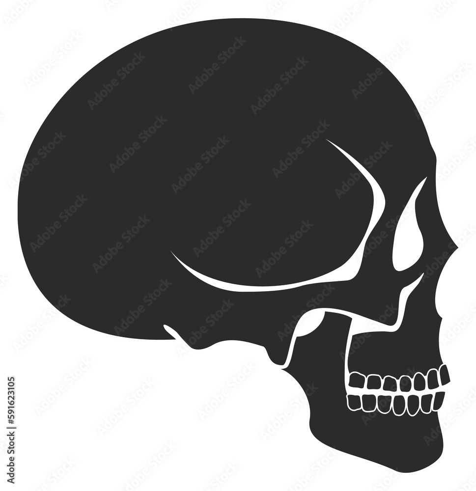 Human skull side view. Anatomy black icon Stock Illustration | Adobe Stock