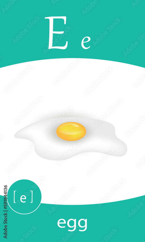 English alphabet flash card. Letter E study - egg. Kids ABC cards ...