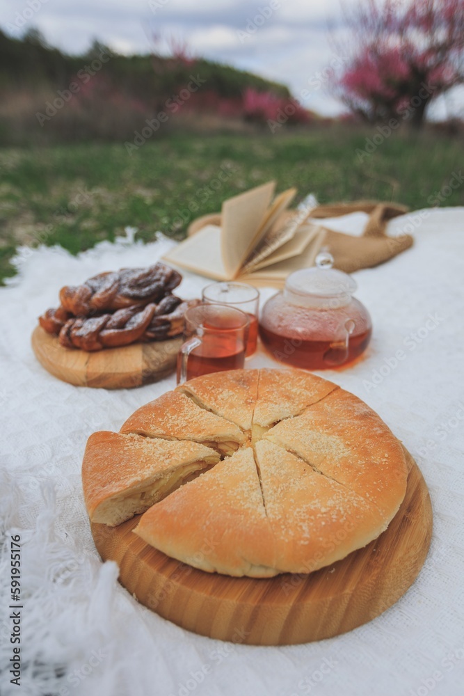 Picnic in spring under a tree in nature. A gourmet picnic in the park ...