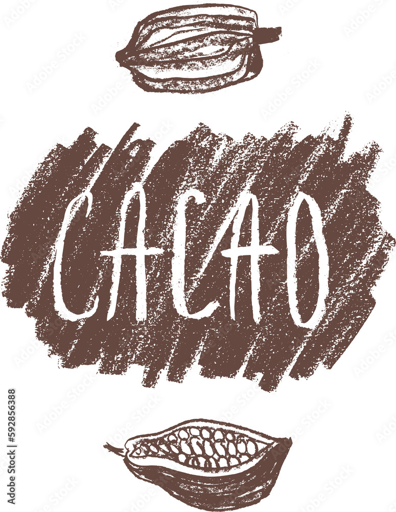 Cocoa bean emblem. Hand drawn sketch PNG Cacao beans icon. Cocoa beans ...