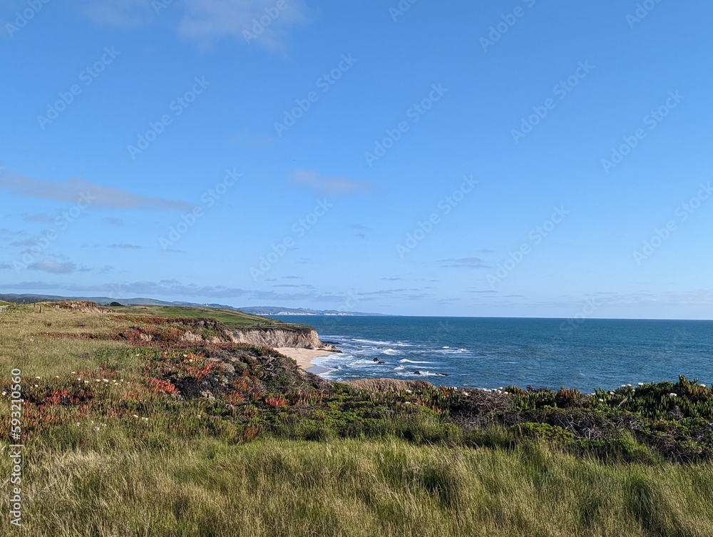 wildflowers and sea figs bloom on the rugged coastal cliffs, framing ...