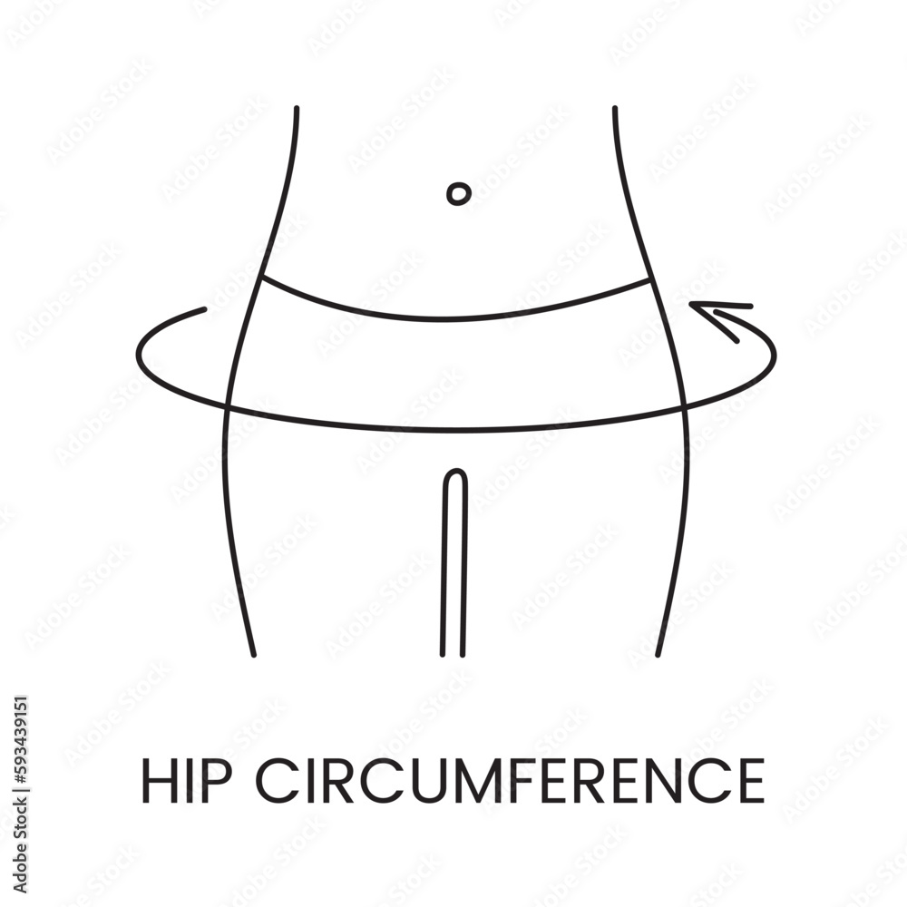 Hip circumference line icon in vector, human body illustration with ...