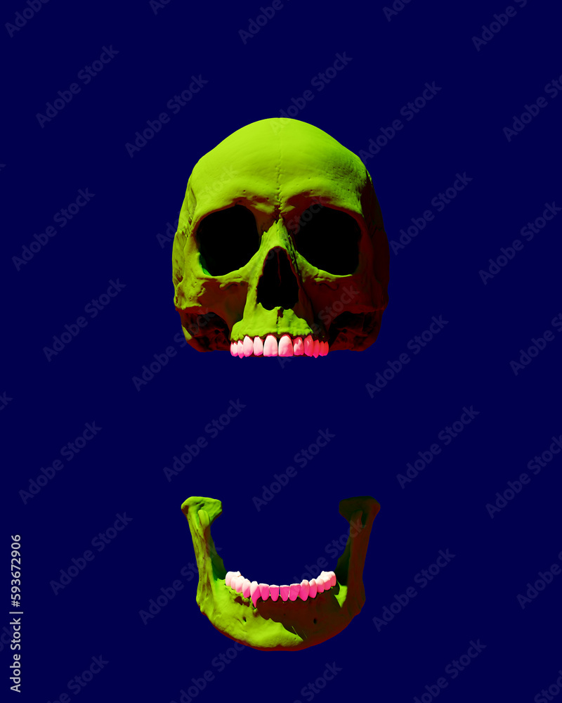 Skull Jaw Floating Green Pink Teeth Day Sunny Blue Background High ...