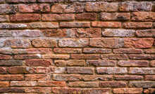 CANNED Brick Wall Free Stock Photo - Public Domain Pictures