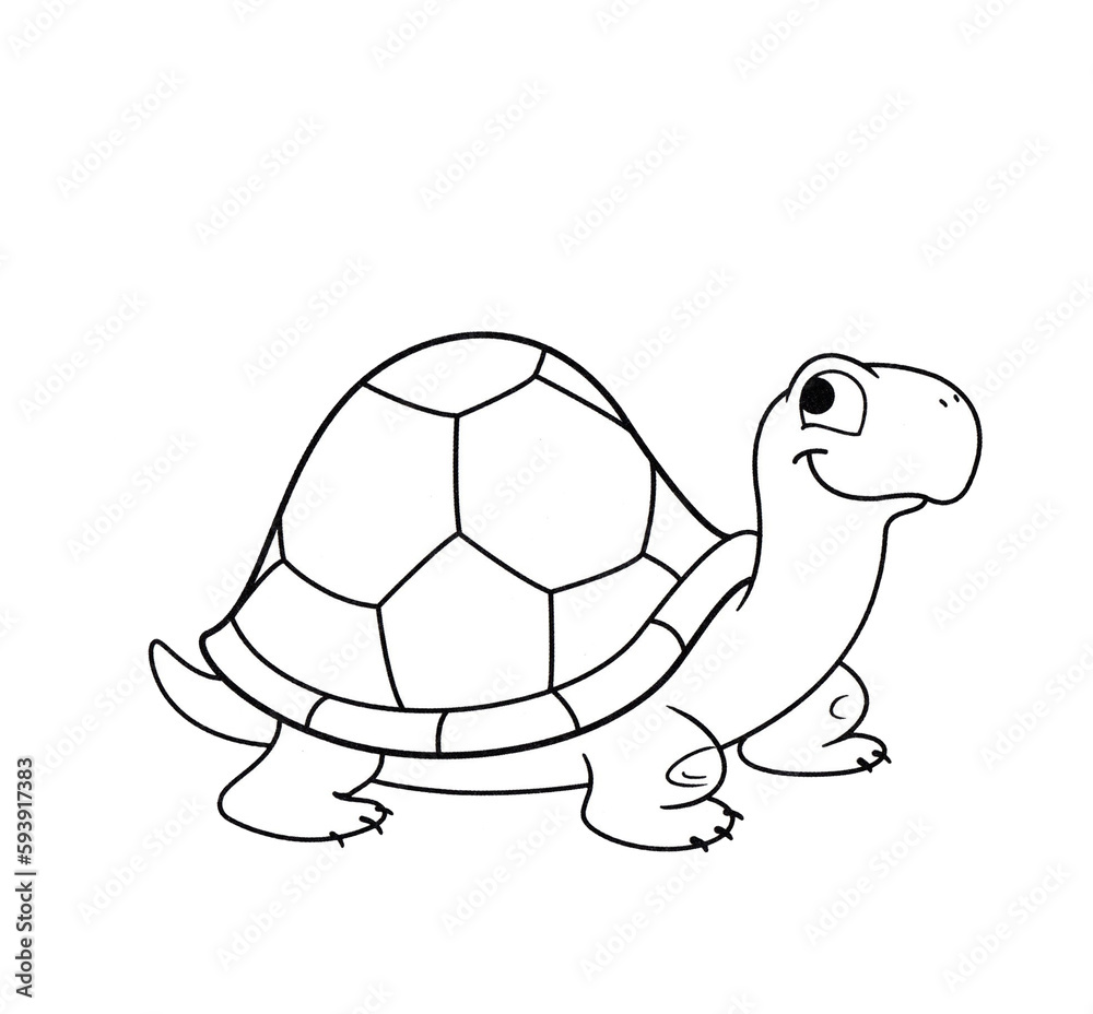 Painting activity. painting activity turtle bag drawing example on ...