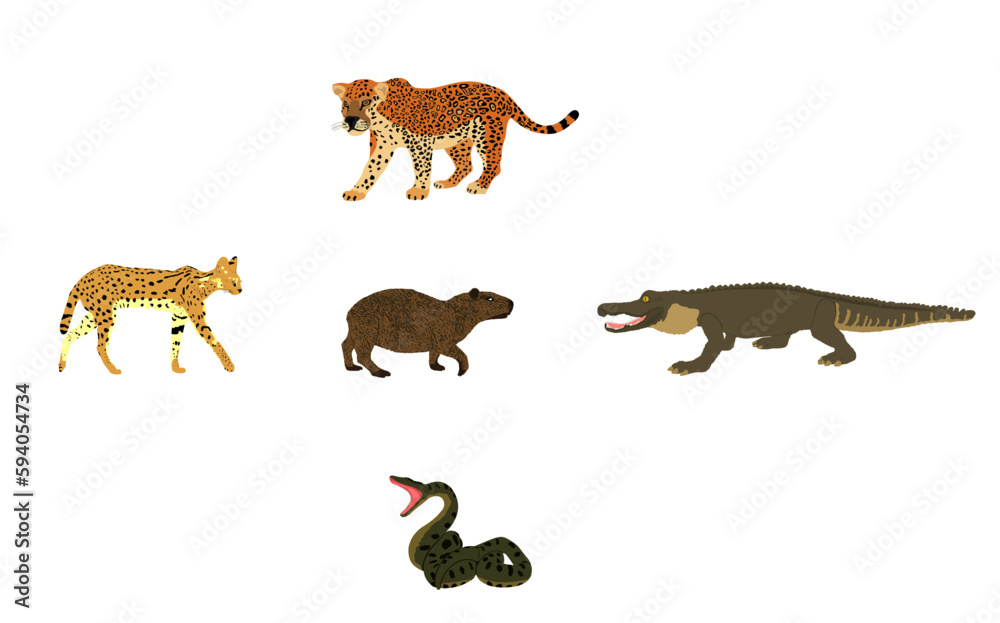 Capybara natural enemies food chain ocelot, snake, jaguar, crocodile ...