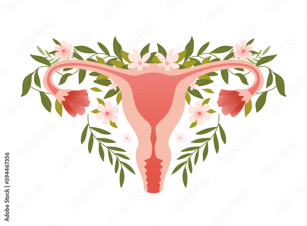 Women reproductive system with flowers vector illustration. Female ...