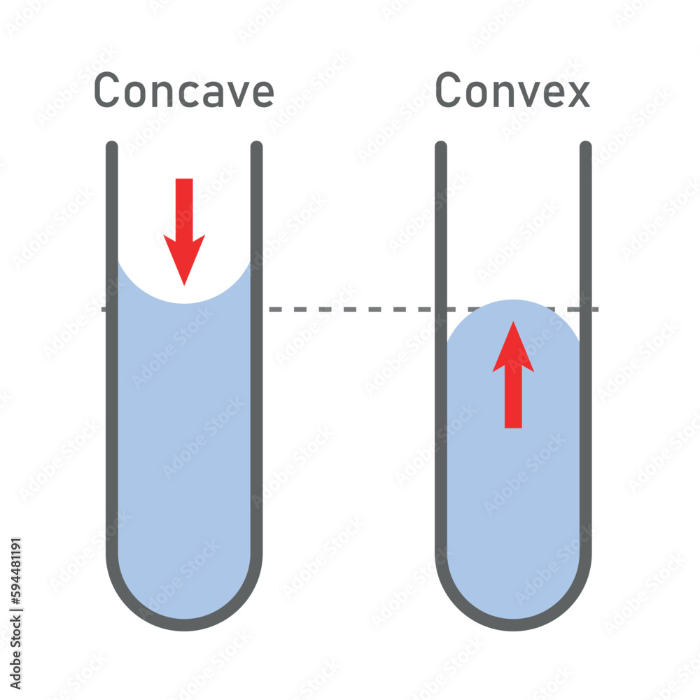 Adhesion and cohesion of water. Concave and convex meniscus. Vector ...