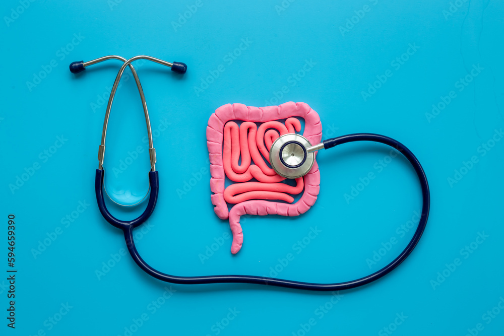 Stomach or intestines colon organ problems. Bowel disease concept ...