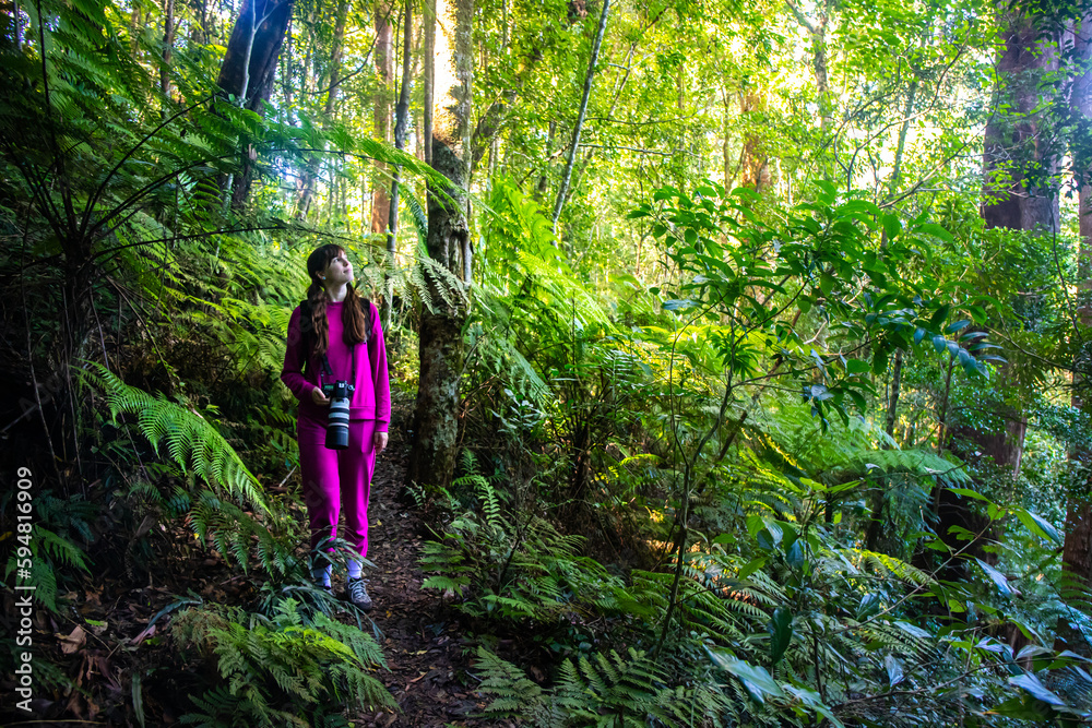 hiker girl walking through dense rainforest full of tropical plants ...
