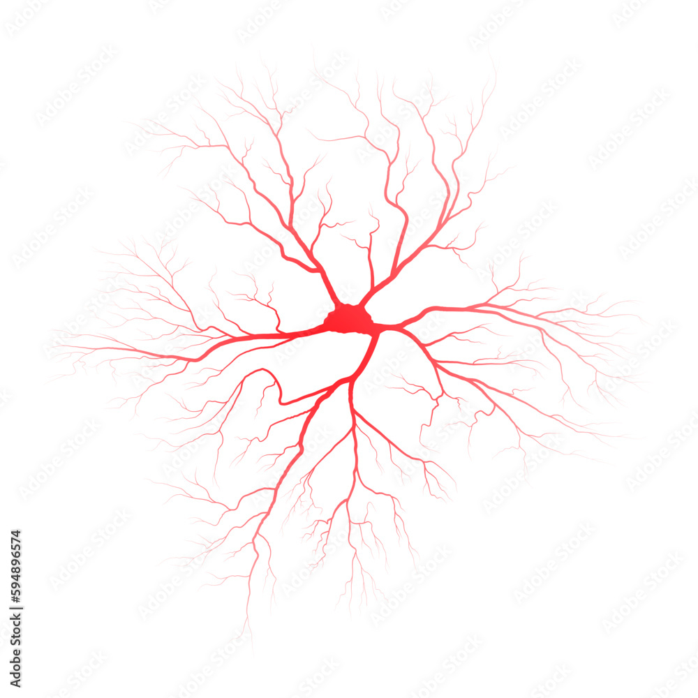 Human eye blood veins vessels silhouettes vector illustration isolated ...