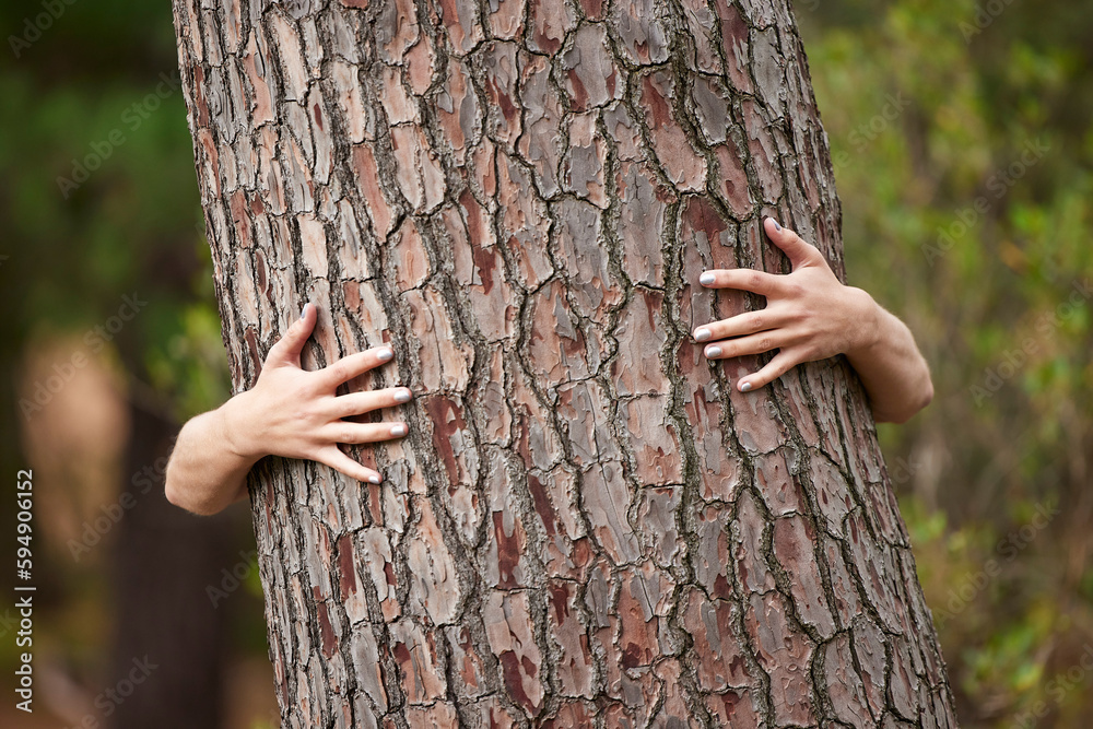 Nature, saving and a person with a tree hug for sustainability, planet ...