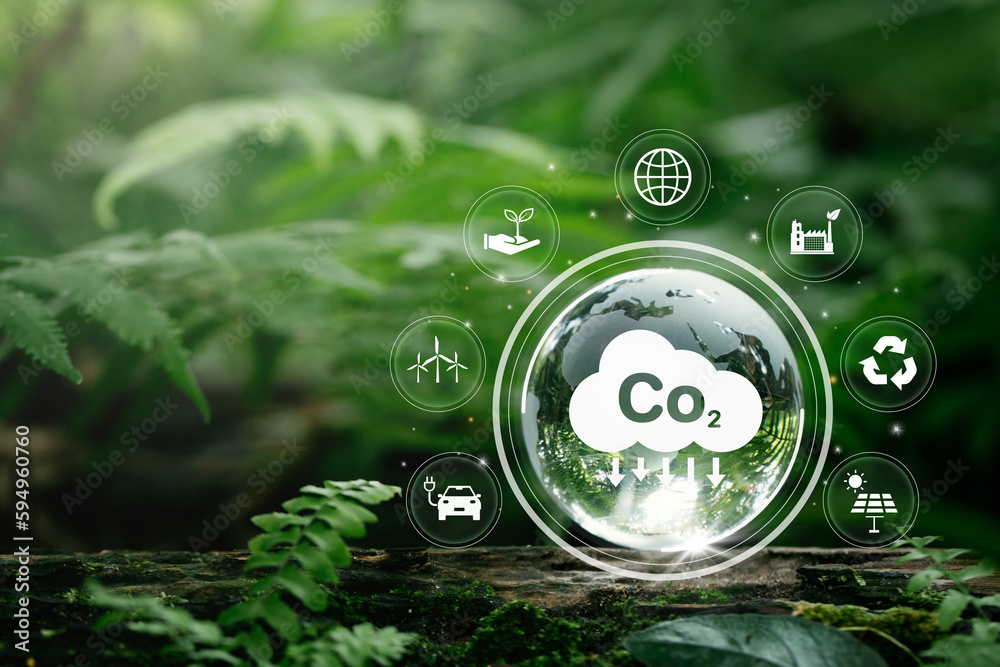 Stock-Foto „Globe Glass with CO2 icons In Green Forest With Sunlight.Reduction of carbon ...