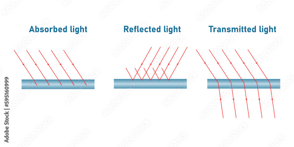 Reflection absorption and transmission of light. Light falls on a ...