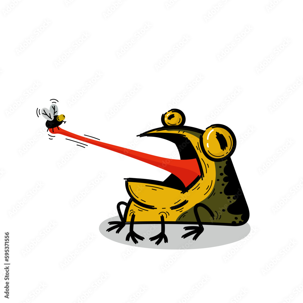 Frog catching fly. Isolated on white. Cartoon vector illustration ...