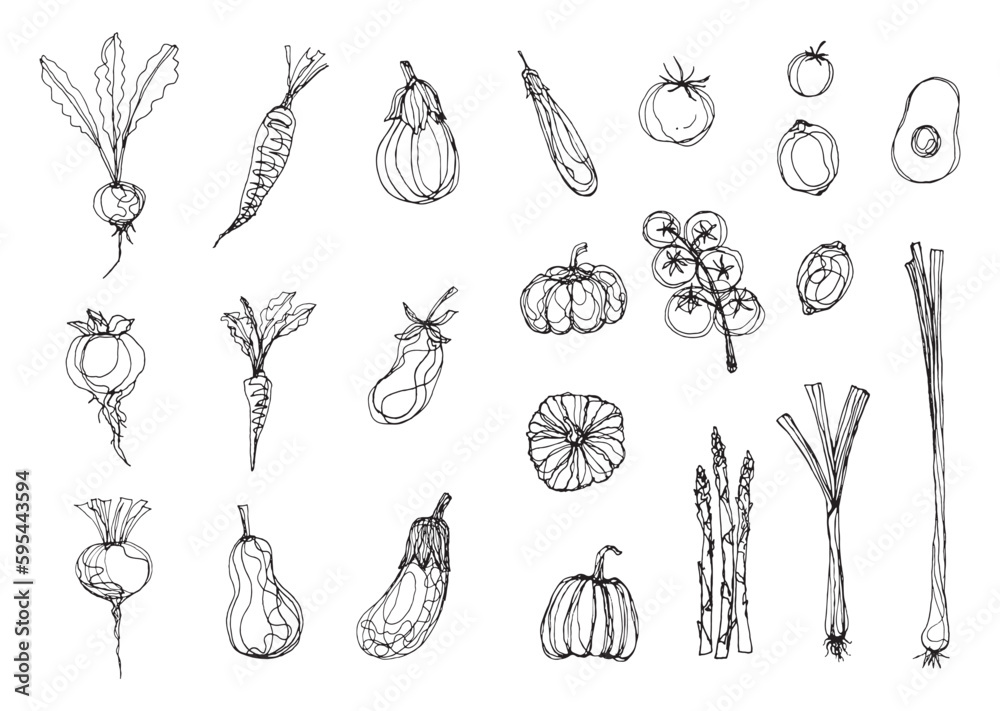 Minimal vegetable drawing, ink doodle vegetables vector illustration ...