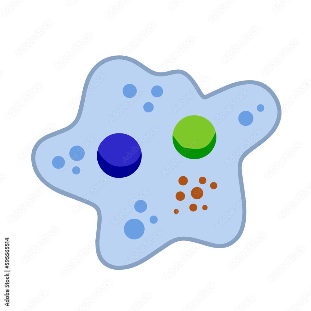 Amoeba cell. Small unicellular animal. Virus and bacteria. Education ...
