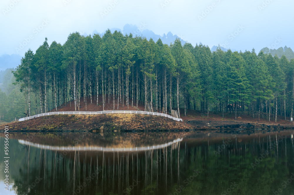 Foto de Stock Reflection of trees in the lake. SEEH LAKE, Biirii, Ziro ...