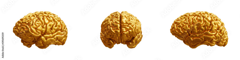 Golden human brain from multiple angles isolated on transparent ...