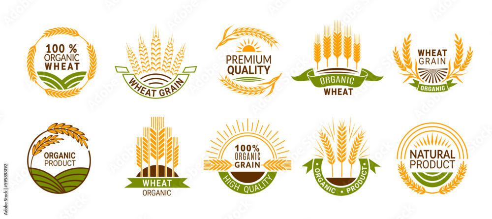 Wheat ears icons, cereal spikes of rye, barley or rice millet, vector ...