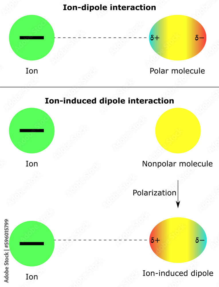 intermolecular forces ion dipole interaction ion induced nonpolar ...
