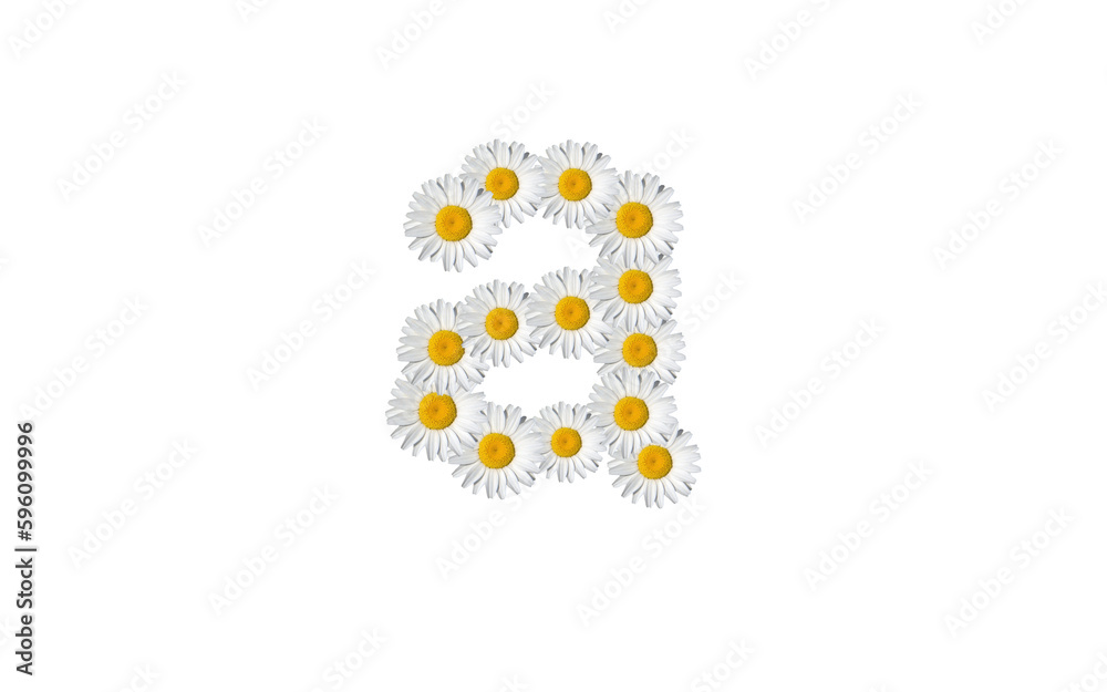 floral alphabet letter a, upper case letter i, lowercase i, small ...