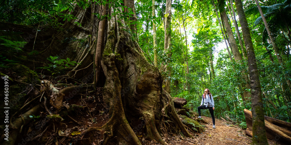 girl looks up and admires a tall powerful tree in the stunning lush ...