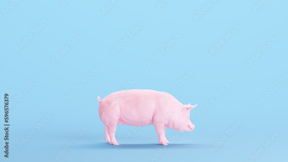 Pink Pig Pork Belly Butchers Diagram Hams Gammon Meat Kitsch Blue ...