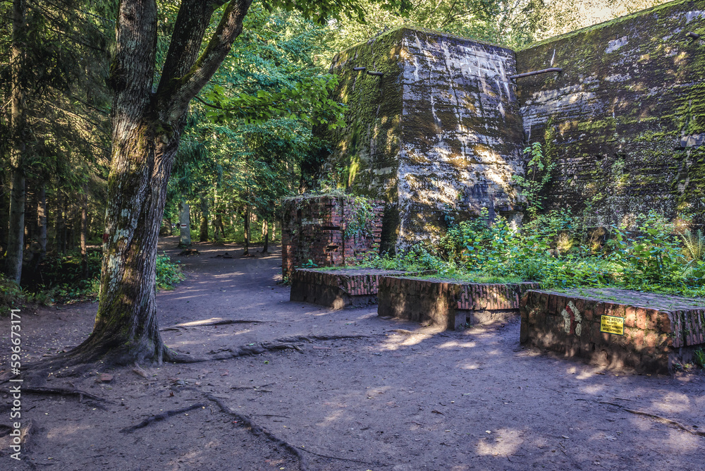 Guests bunker in Wilczy Szaniec - Wolfs Lair, first Eastern Front ...