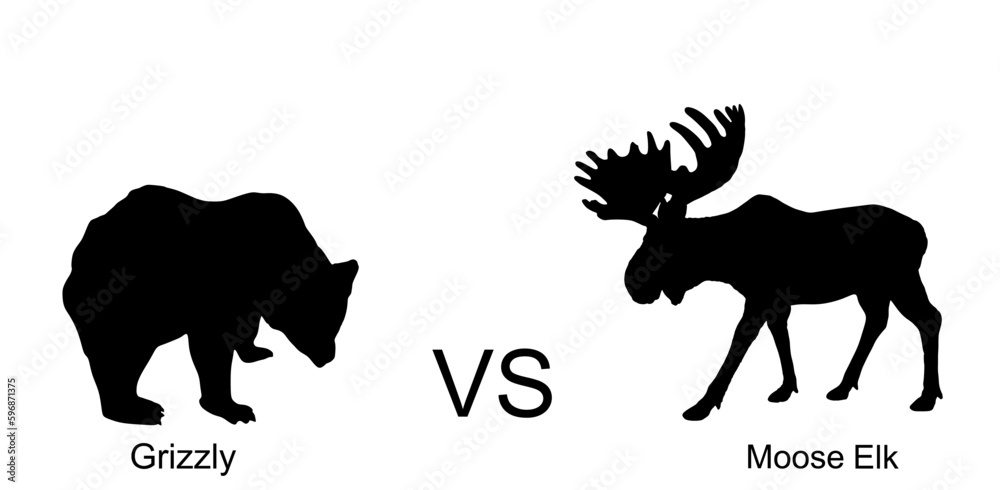 Moose against bear vector silhouette illustration isolated on white ...