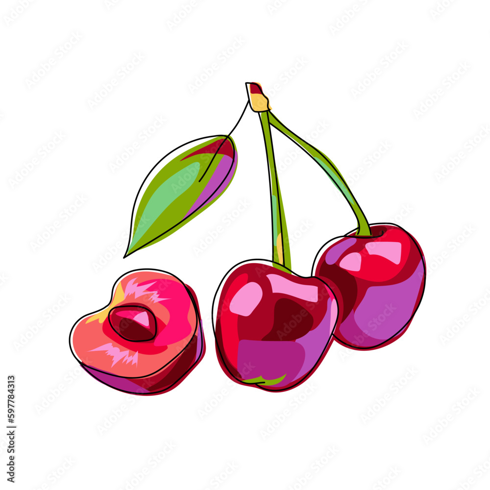 Colorful cherry fruits. Isolated vector illustration. Whole cherries ...