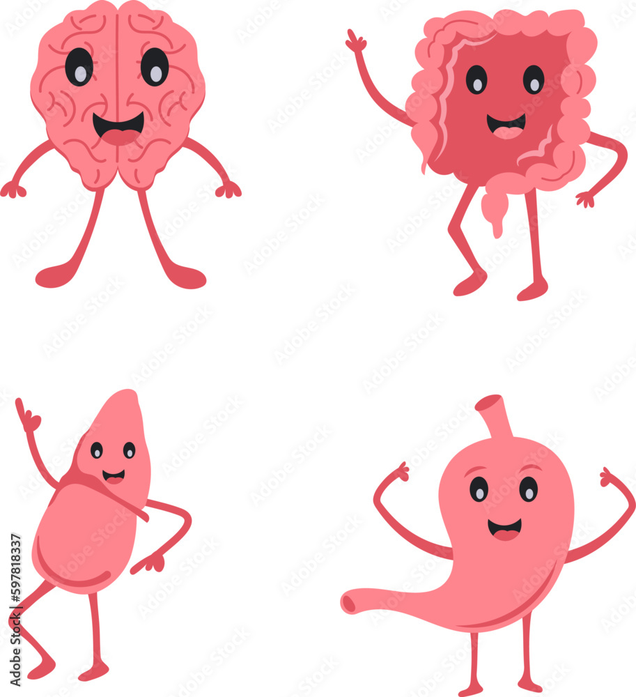 Human Organ Cartoon Character Set Of Brain, Digestive System, Liver and ...